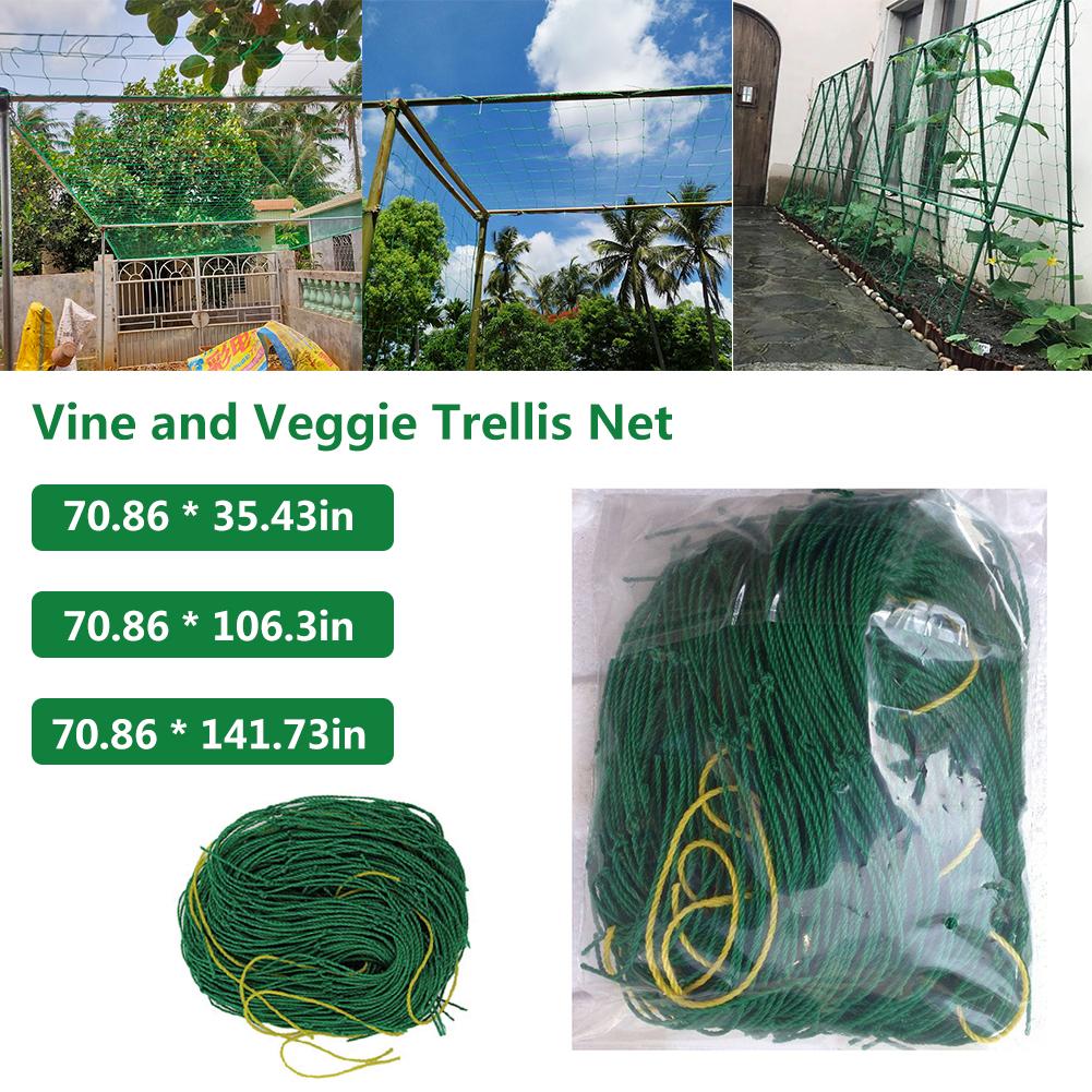 Tuin Planten Klimmen Netto Plastic & Nylon Net... – Grandado