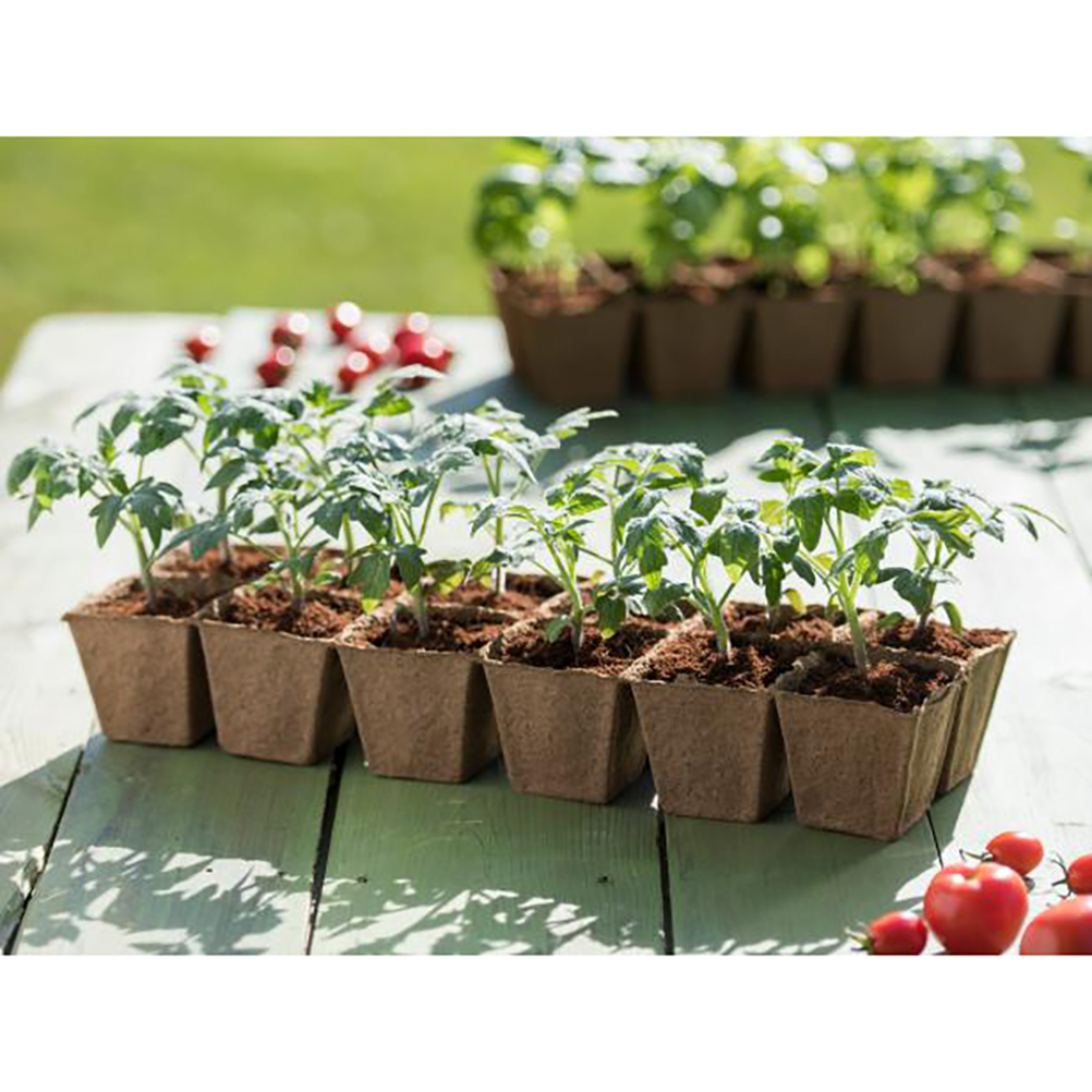 12-Hole Pulp Seedling Tray Disposable Nursery Tray... – Grandado