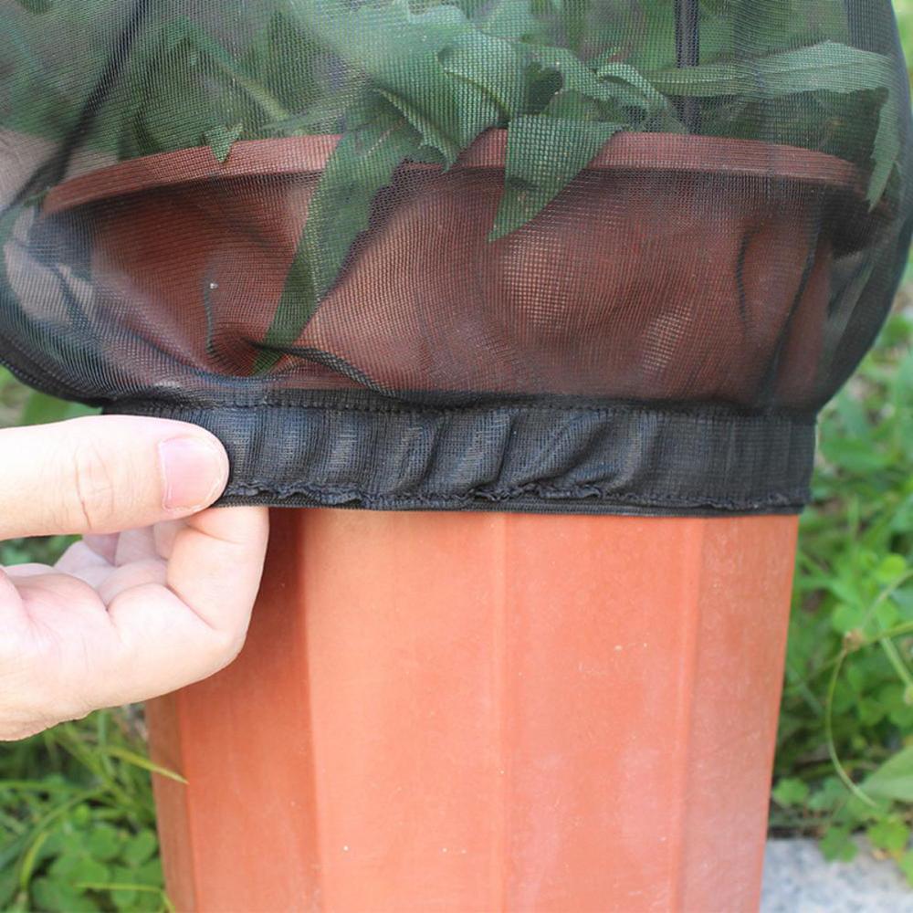 Garden Insect Net Cage Butterfly Insect Habitat Fe... – Grandado