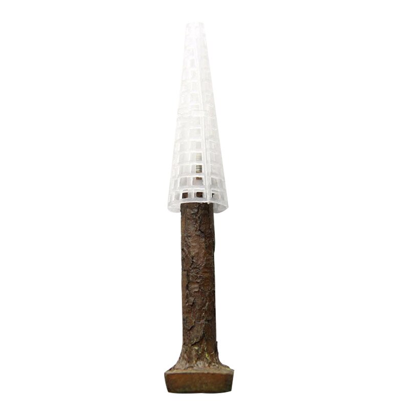 Etb Aquarium Landschapsarchitectuur Moss Kerstboom... – Vicedeal