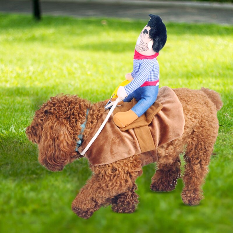 Riding Horse dog costume with cowboy hat for small... – Grandado