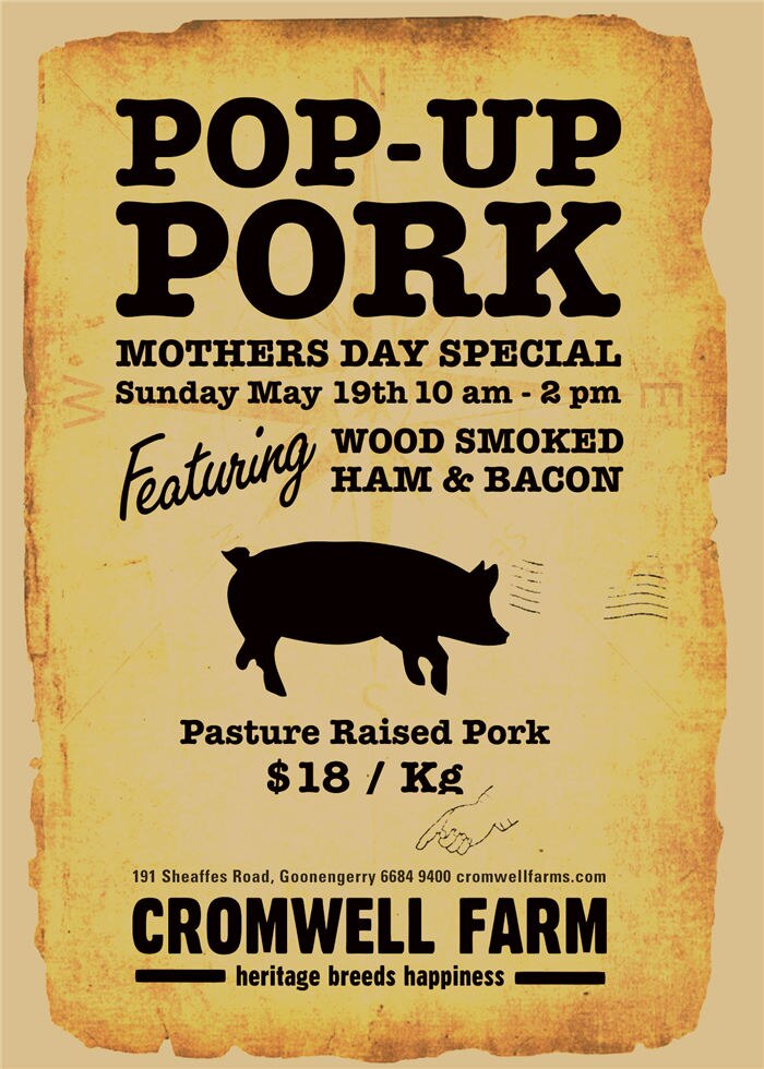 Free ship vintage prints poster Fish Chart retro p... – Grandado