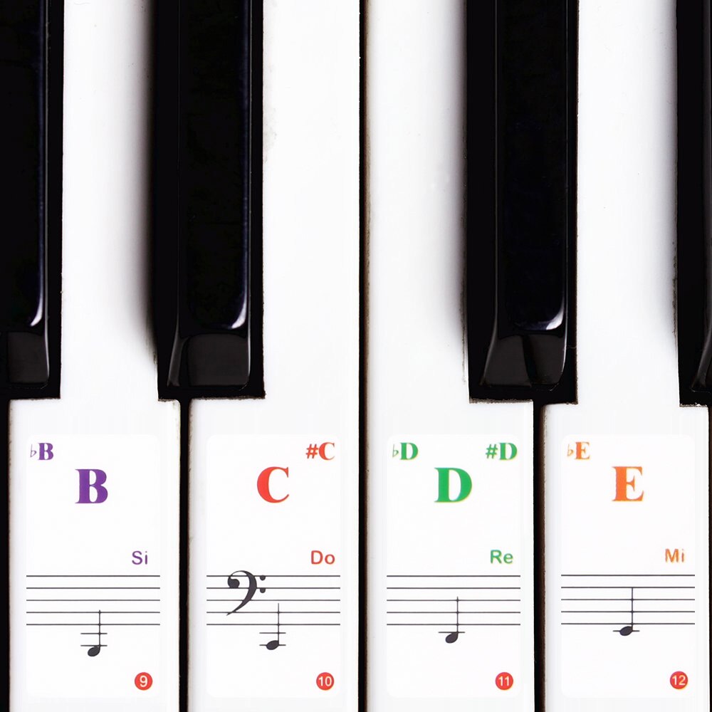 88/61/54/49/37/32 Transparent Detachable Music Dec... – Grandado