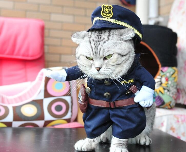 Police style Dog Cat Funny Party costume dog jumps... – Grandado