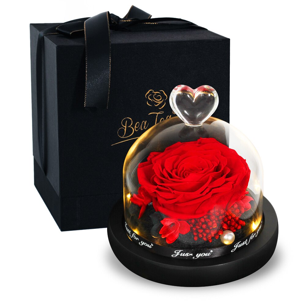 Box +Preserved Eternal Rose Beauty and the Beast R... – Grandado