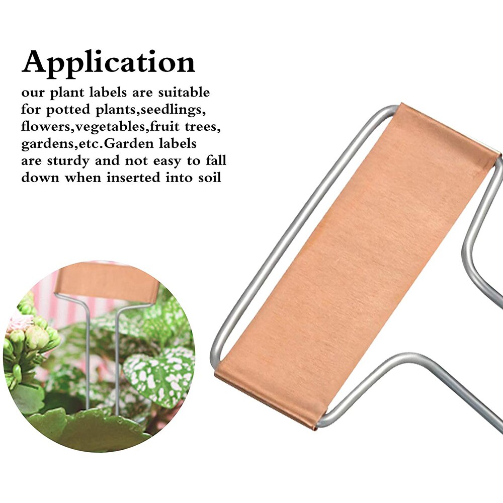 11 Pack Plant Labels Markers, 4 6 8 10 11.5 Inch M... – Vicedeal