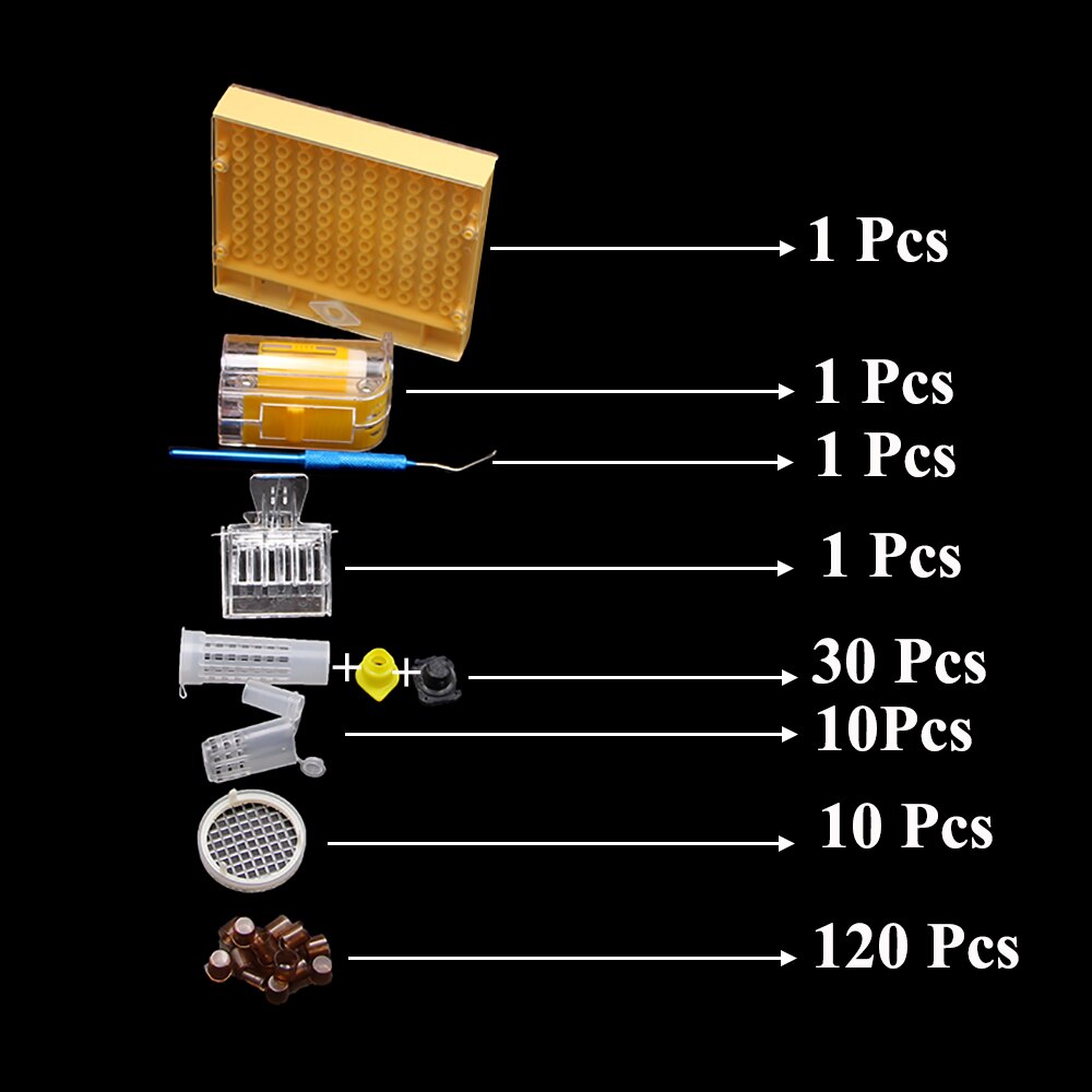 1SET Complete Queen Bee Rearing System Kit Plastic... – Vicedeal