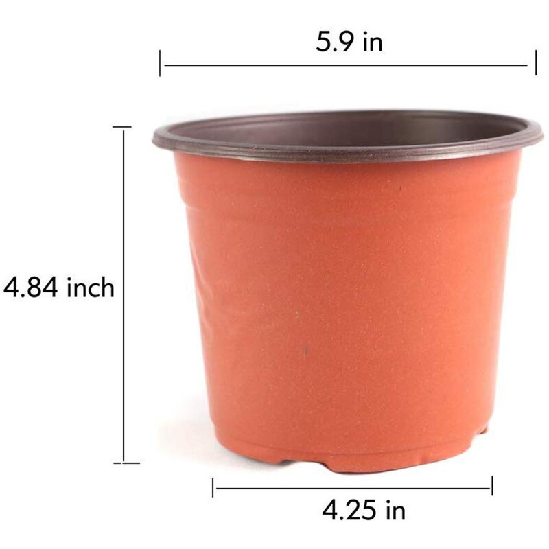 100 Packs of Plastic Seedling Flower Pots, Two-Col... – Grandado
