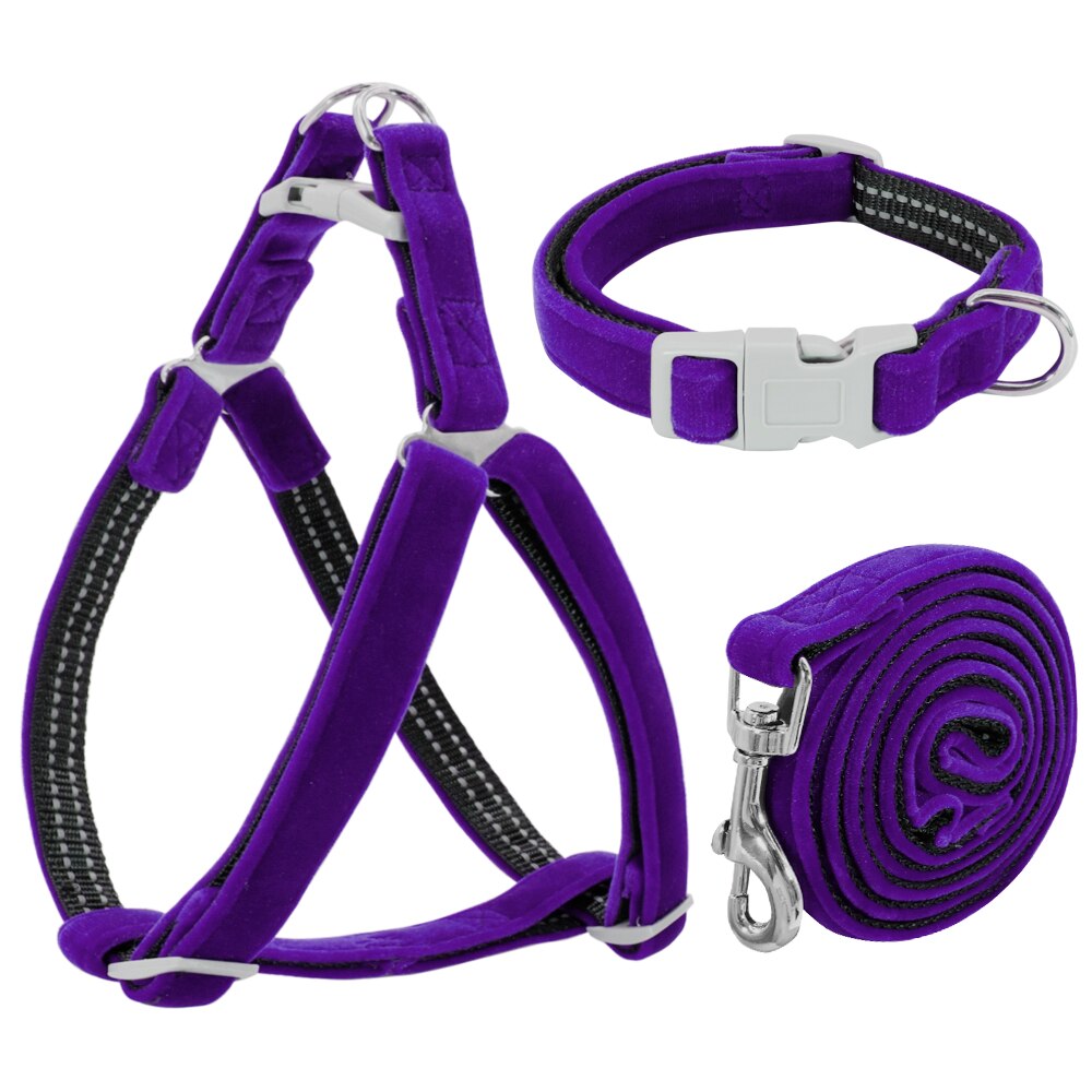 Dog Collar Harness Leash Set Reflective Bull Dog C Vicedeal