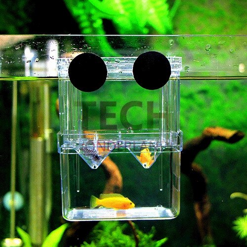 Multifunctional Fish Breeding Isolation Box Incuba... – Vicedeal