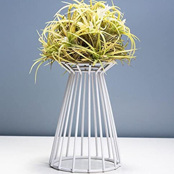 2 Pack Air Plant Holder Tillandsia Metal Indoor Ta... – Vicedeal