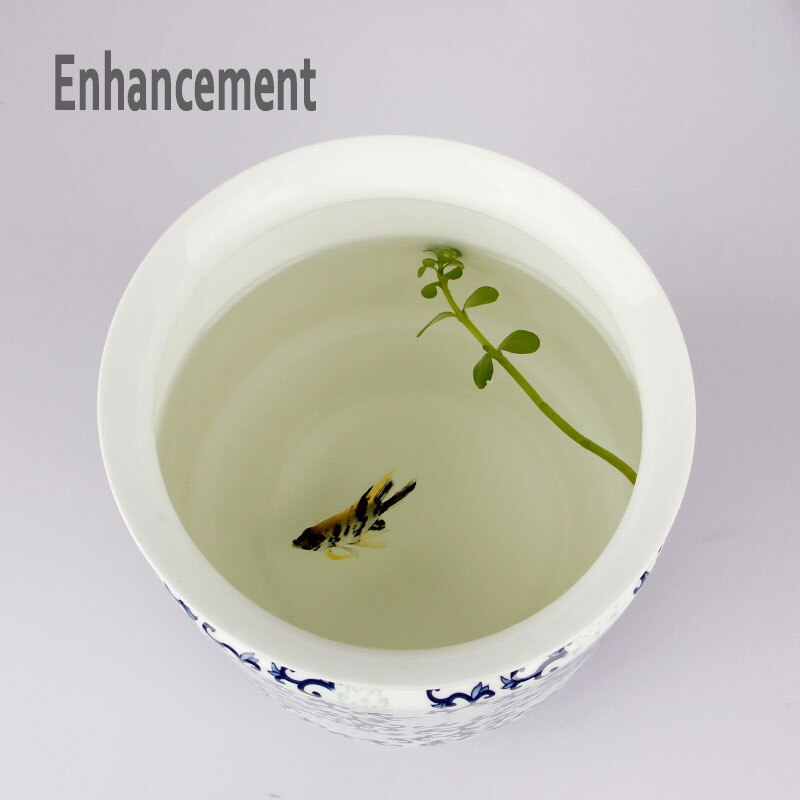 Fine Bone China AQUARIUM FISH TANK Blue And White ... – Grandado