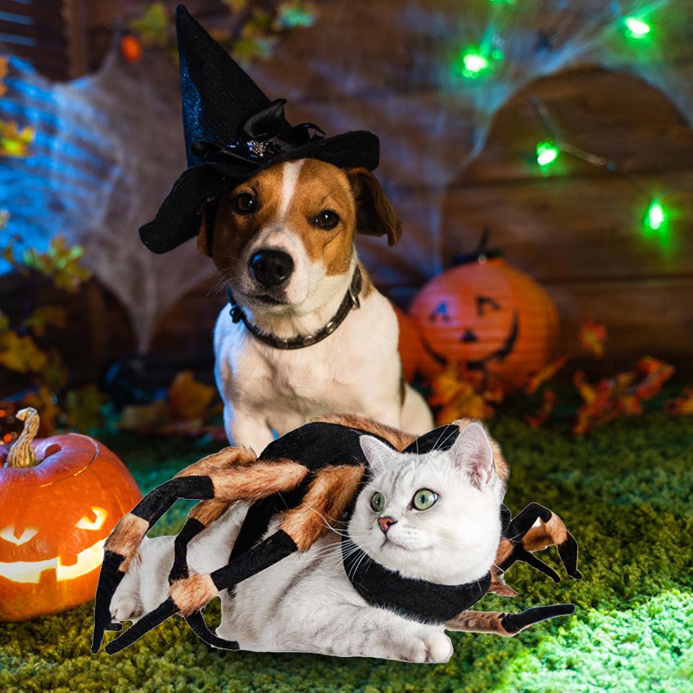 Halloween Pet Spider Clothes Dress Up Simulation B... – Vicedeal