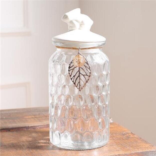 Glass Storage Canister Cookie Candy Penny Jar with... – Grandado
