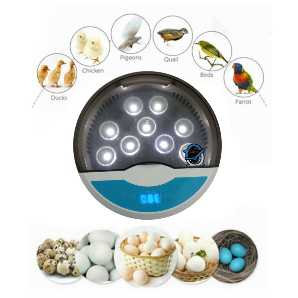 Egg Incubator, 9 Digital Fully Automatic Incubator... – Vicedeal