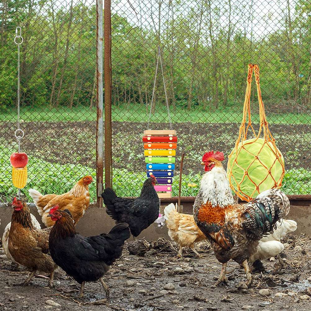6 Stuks Kip Speelgoed Set, Groente Opknoping Feede... – Vicedeal