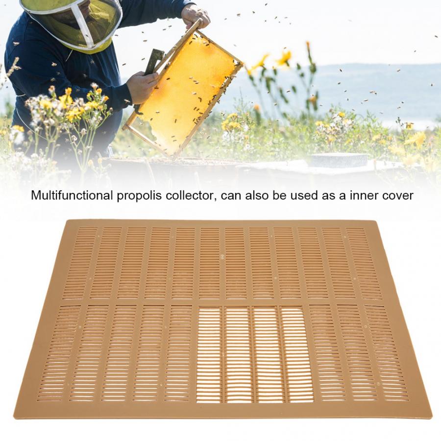 Beekeeping Tool Plastic Beehive Propolis Trap Coll... – Grandado