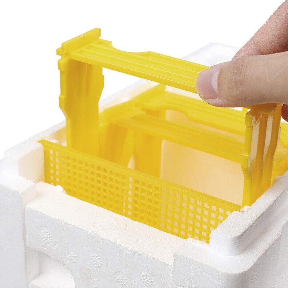 Beekeeping King Box Pollination Box Foam Frames Be... – Grandado