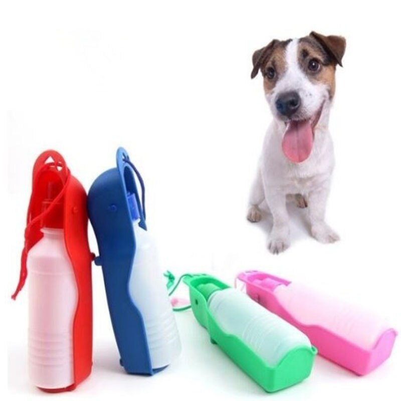 Foldable pet drinker drinker Drinker Dog outgoing ... – Grandado