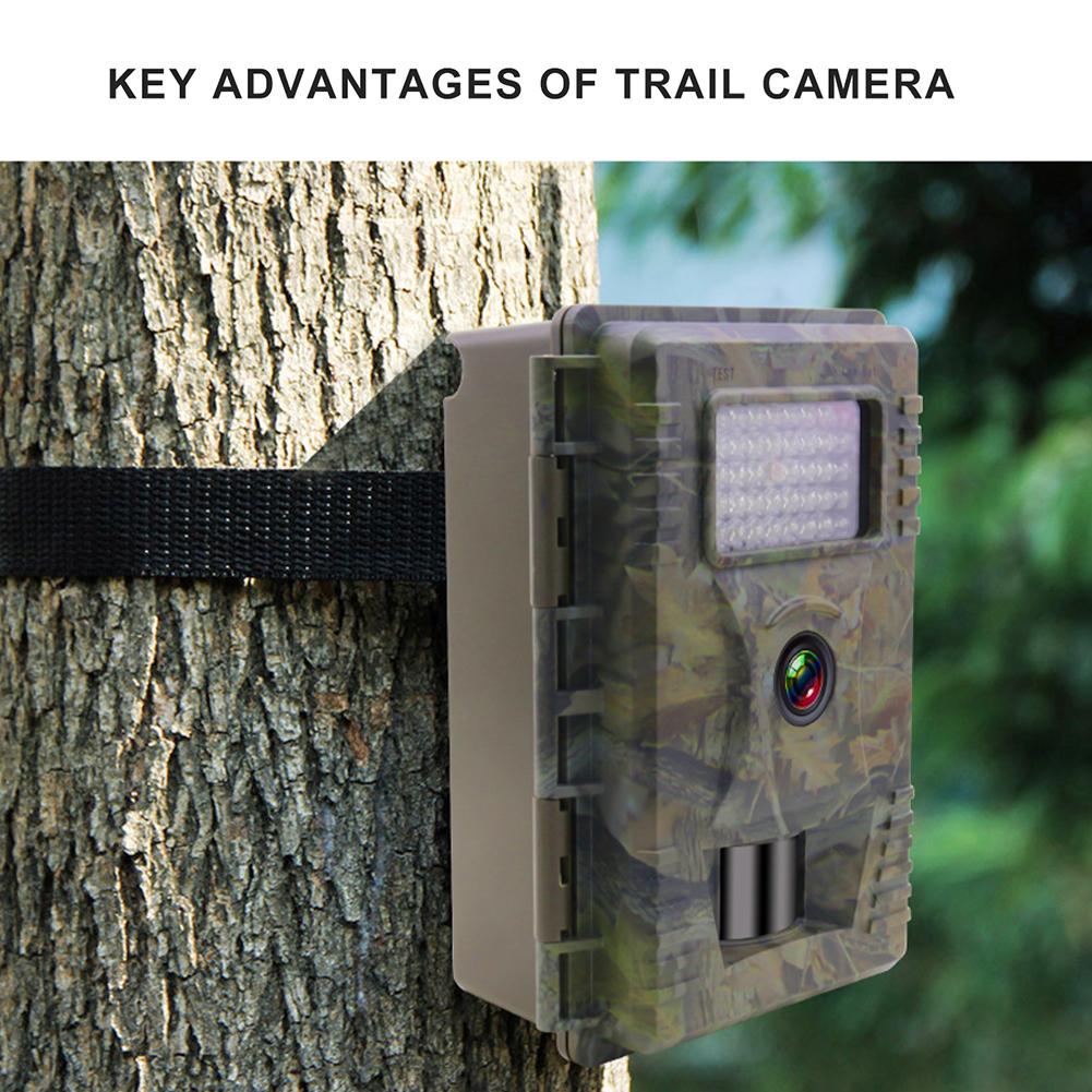 Trail Camera 12MP 1080P IP66 Waterproof Game Scouting Camera Night ...
