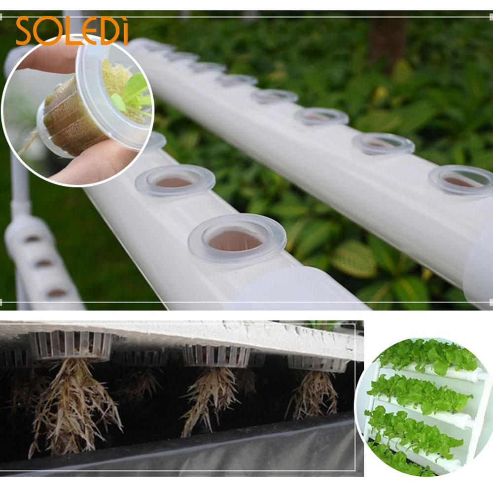 Nursery Cups Nursery Pots Mini Plastic 10pcs Soill... – Grandado