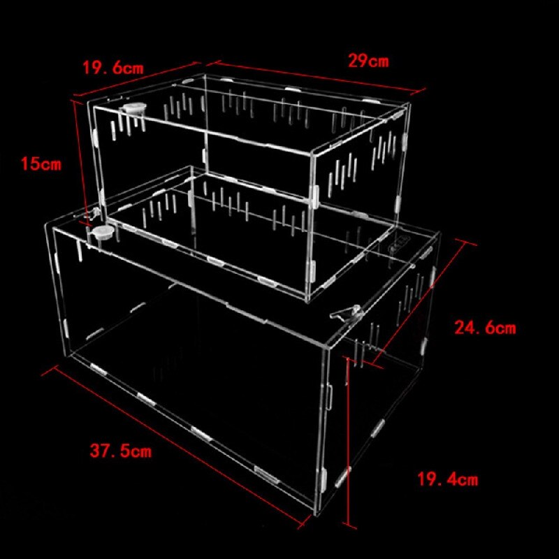 Transparent Acrylic Reptile Box for Spiders Tortoi... – Vicedeal