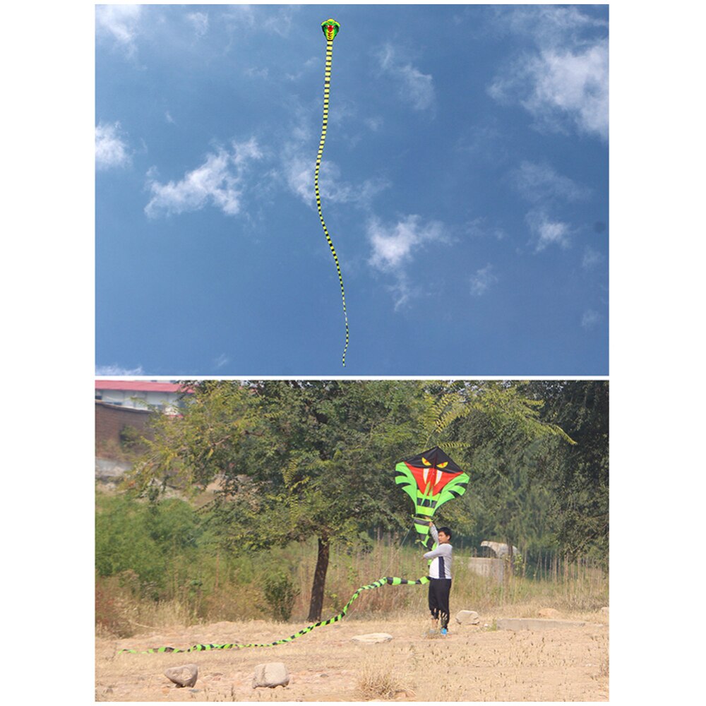 Snake Shape Kite Flying Outdoor Toys Kid Adults Ch... – Grandado