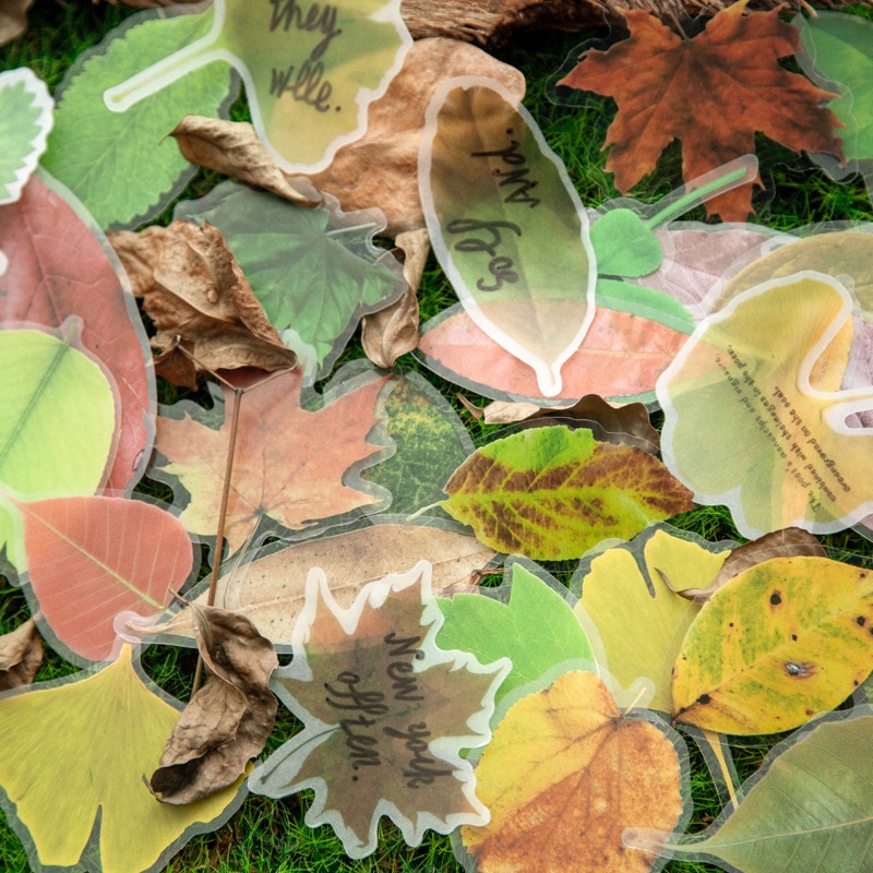 30 Sheets/pack Fallen Leaves Washi Paper Sticker S... – Vicedeal