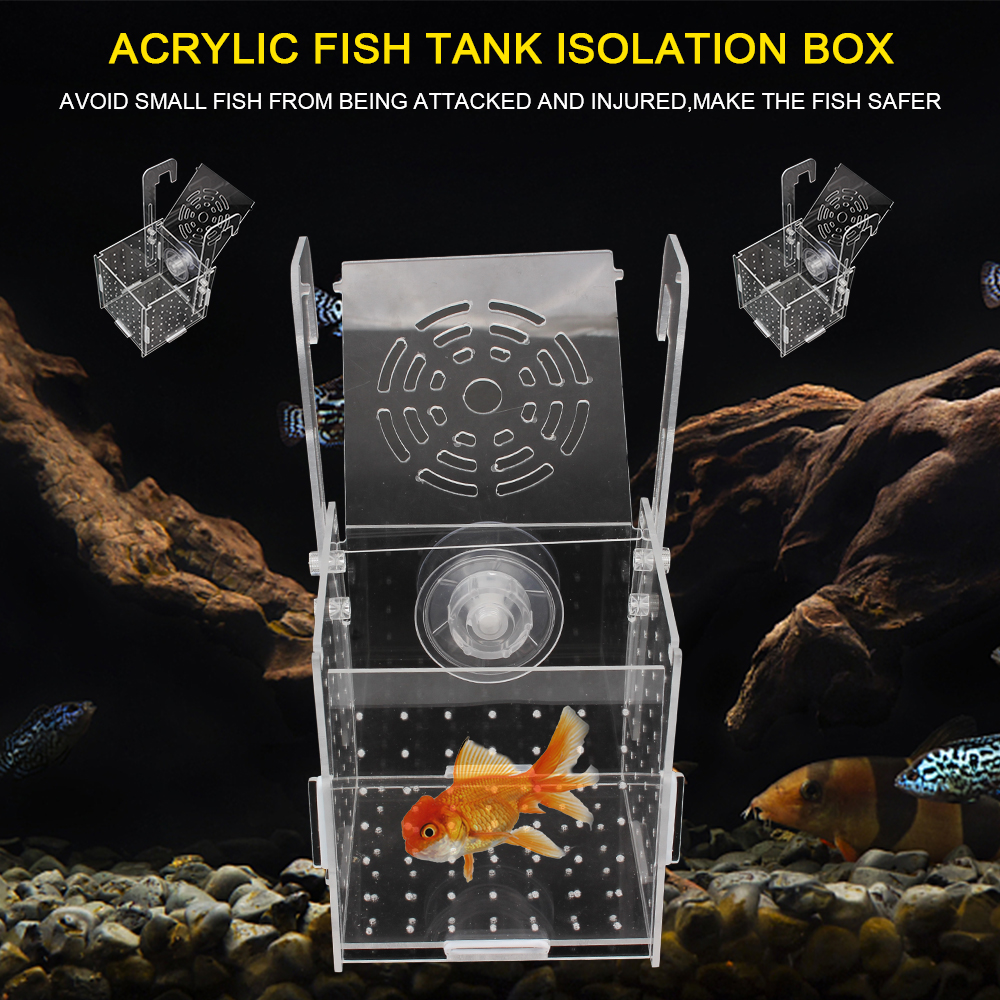 Acrylic Tropical Fish Breeding Box Production Box ... – Grandado