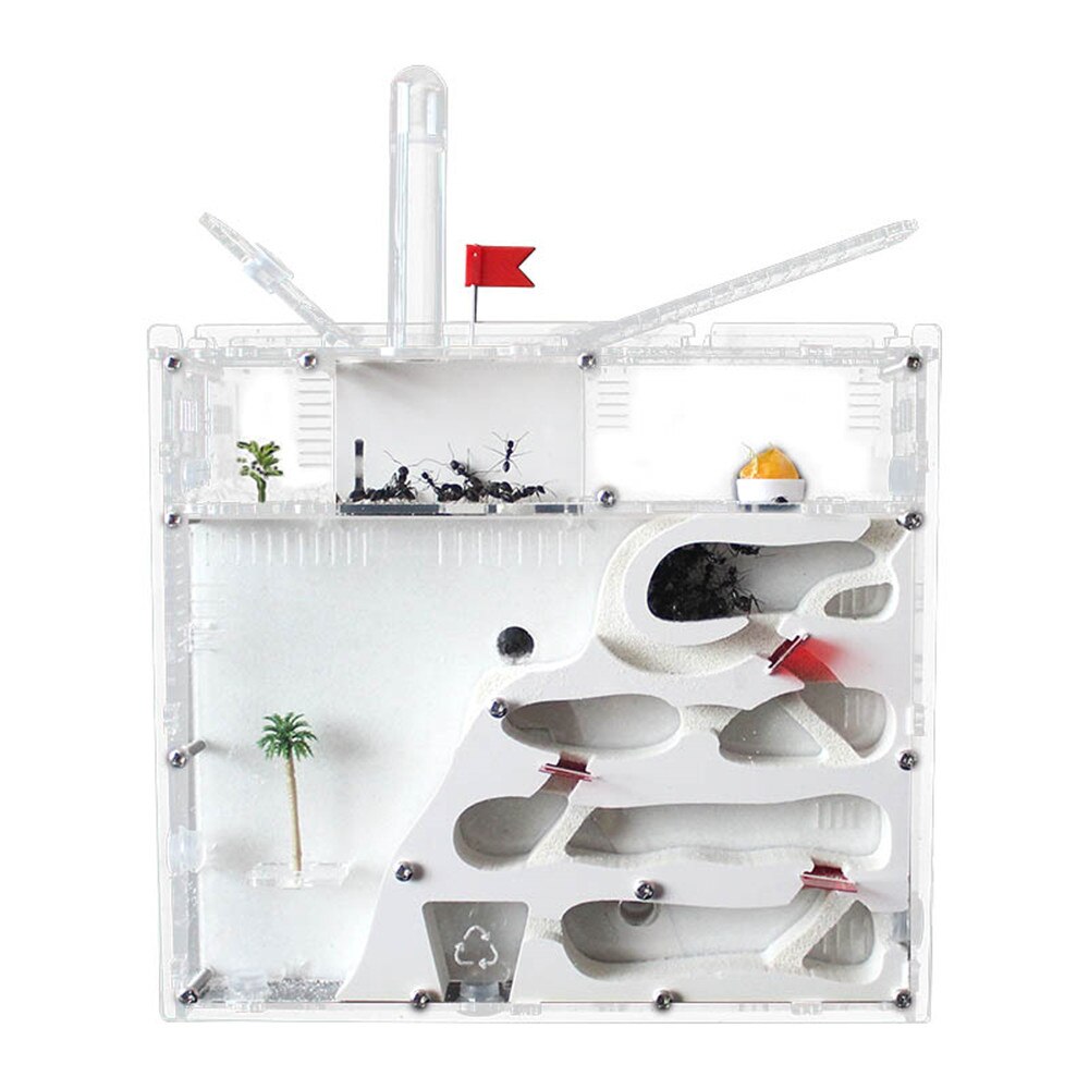 Expandable Ant Castle Four-story Ant Farm Room Dou... – Grandado