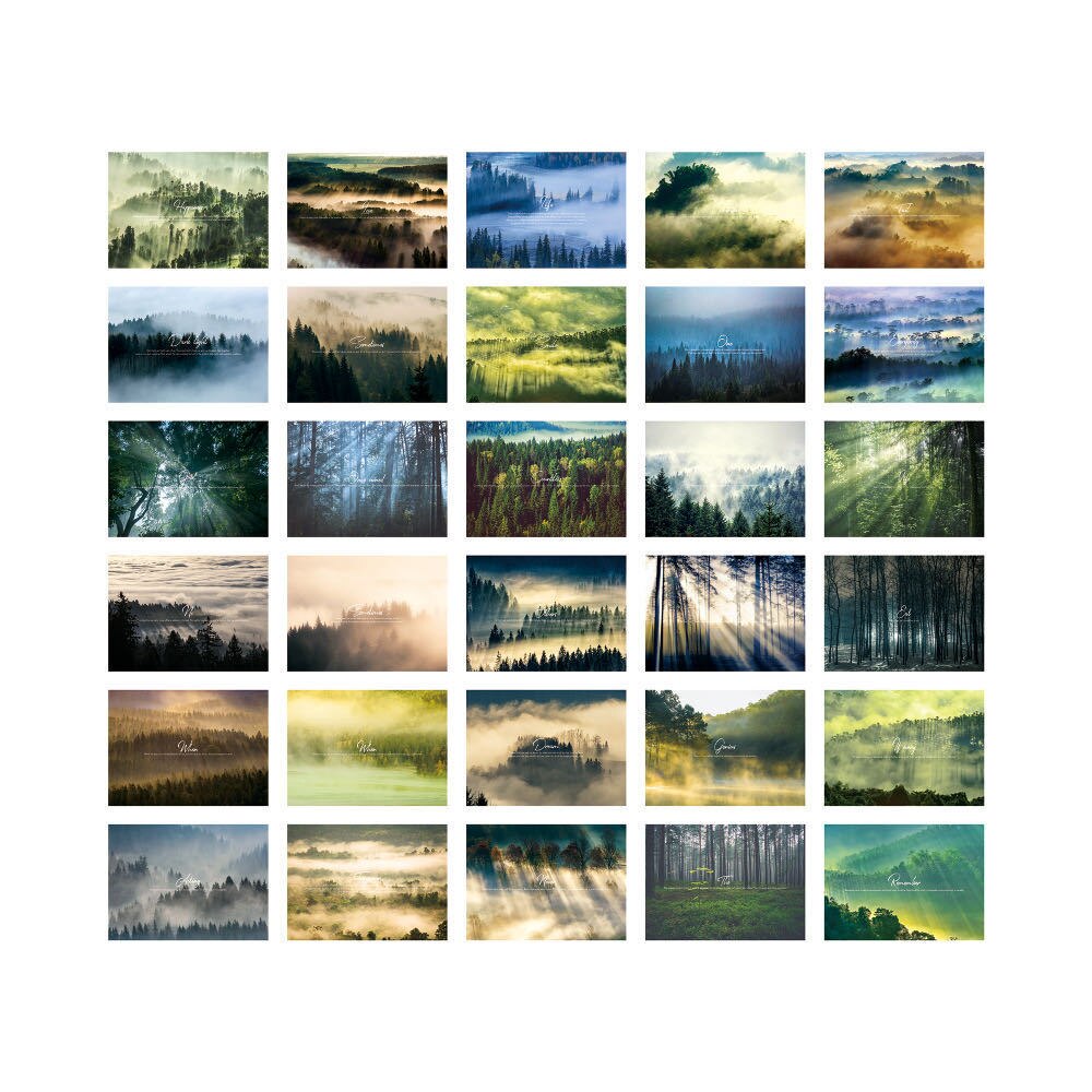30 Stks/set Misty Forest Met Klassieke Engels Zin ... – Vicedeal