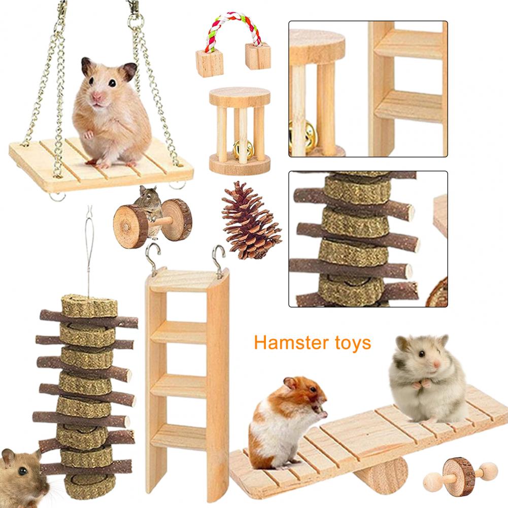 10Pcs/Set Hamster Swing Toys Safe Bunny Hamster Ch... – Grandado