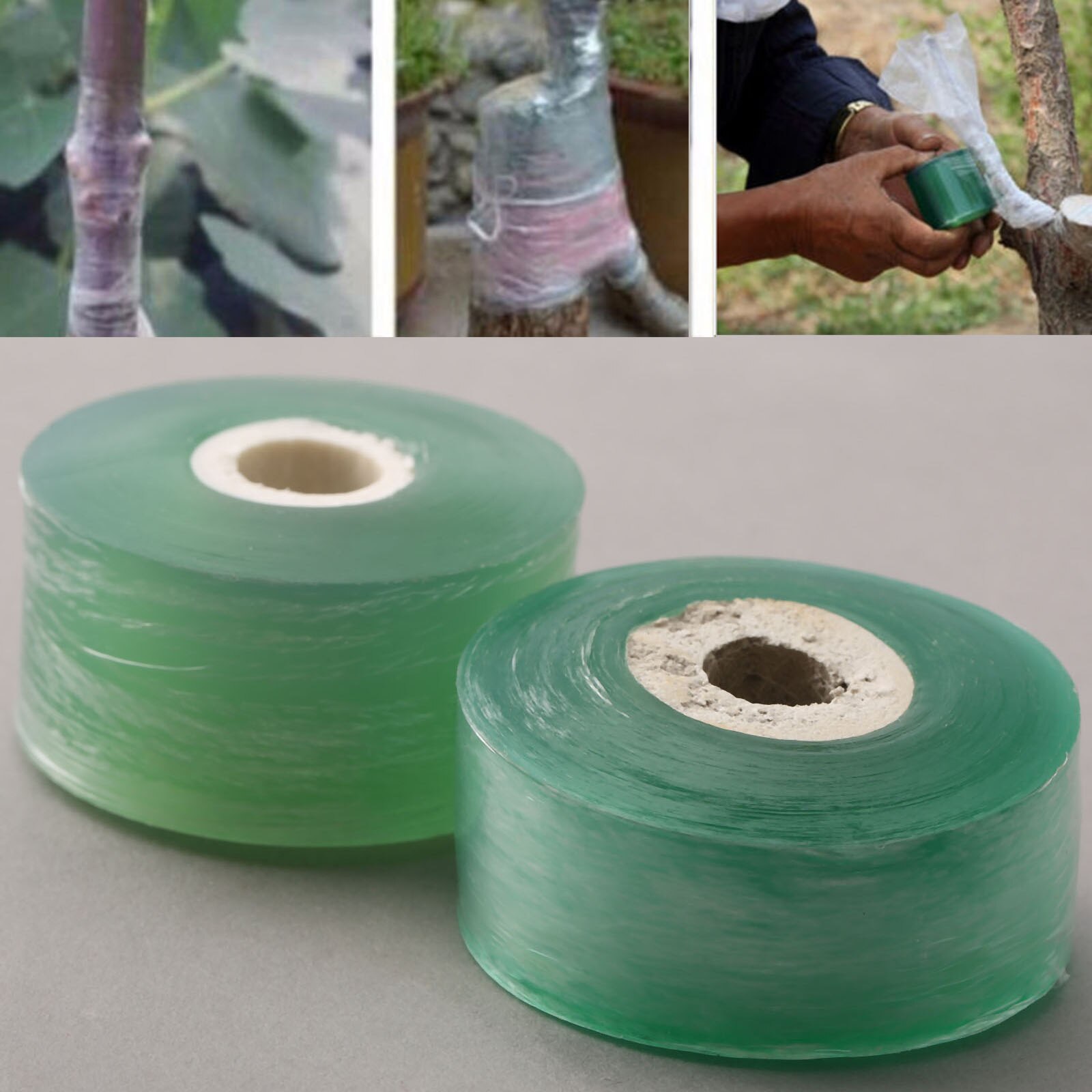 DRELD 2.5CM x 80M Nursery Fruit Tree Roll Grafting... – Grandado