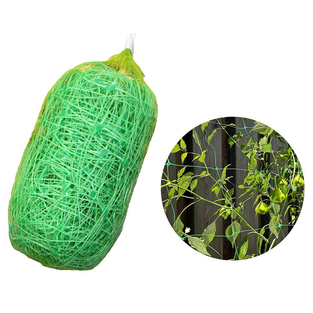 2x6M Plant Melon Climbing Net PP Trellis Netting F... – Grandado