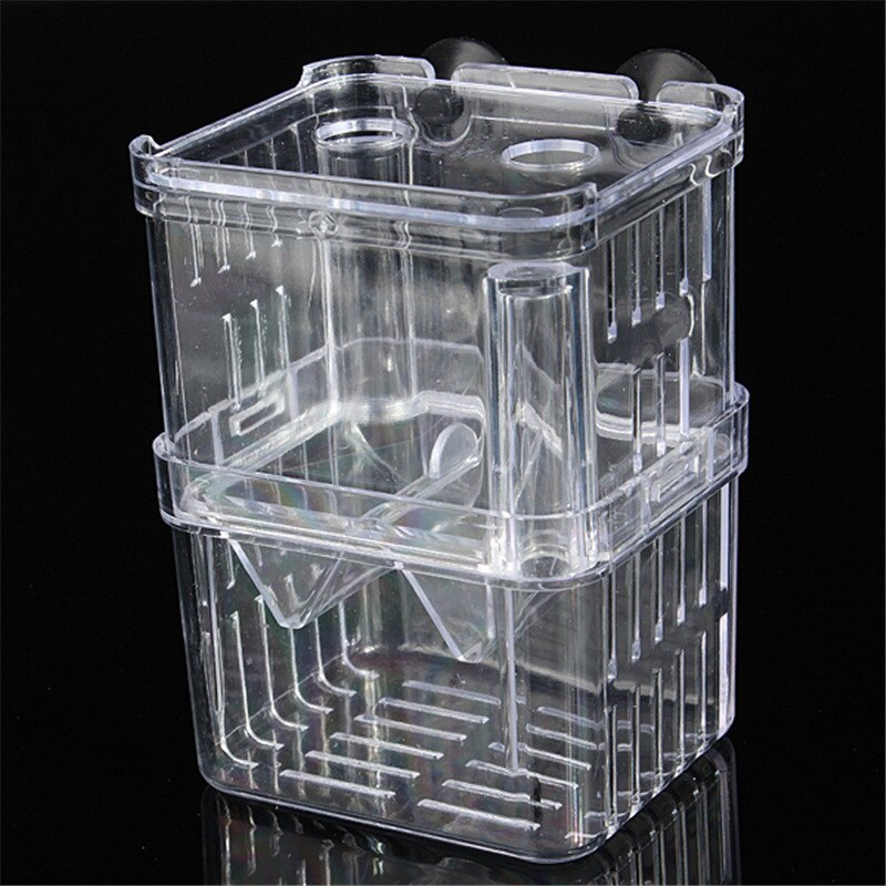 Transparent Fish Fighting Boxes Detachable Eco-Fri... – Grandado