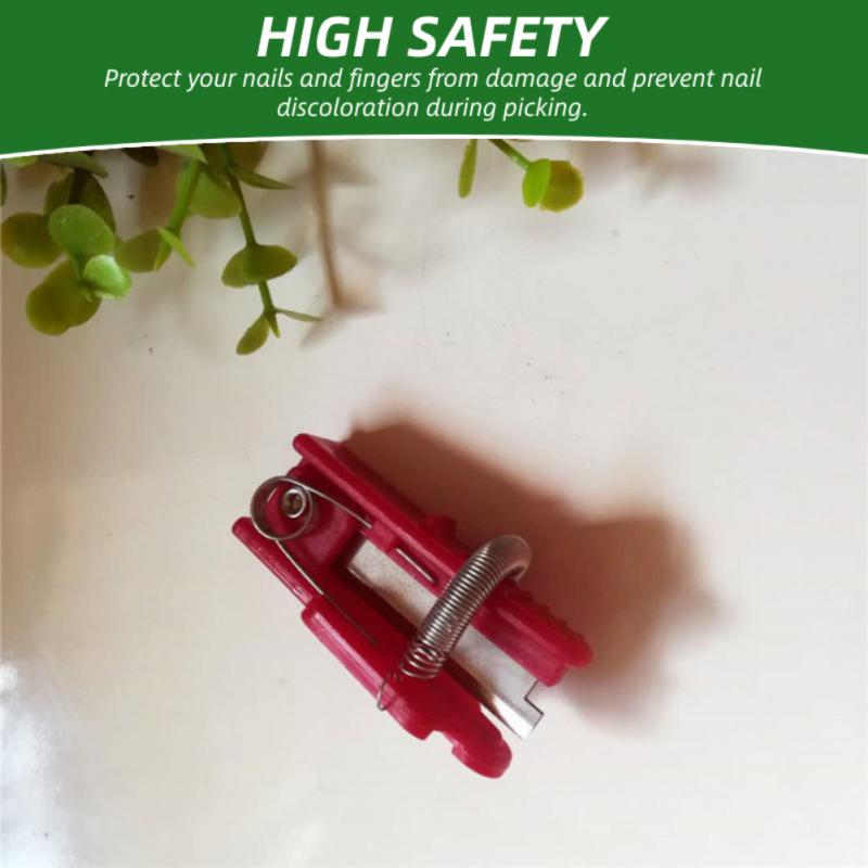 Vegetable Picking Tool Thump Knife Separator Veget... – Grandado