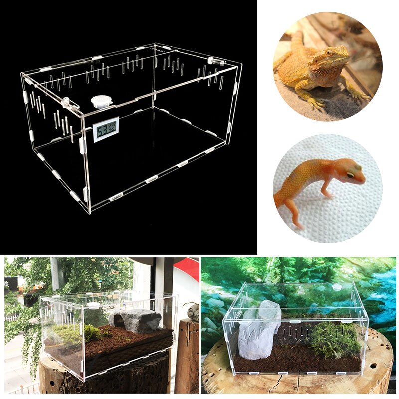 Reptile Kweekbak Met Thermometer Acryl Spider Hage... – Grandado
