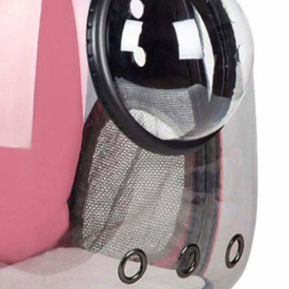 Cat Bag Absolutely All Transparent Space Little Ca... – Grandado