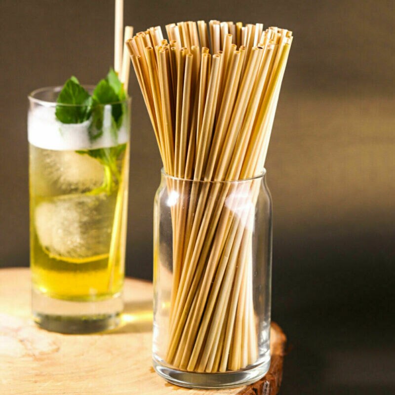 100pcs Portable Drinking Straws Biodegradable Stra... – Grandado