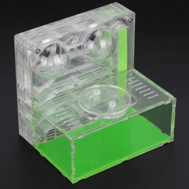 Reptiles Living Box Ants Farm Transparent Acrylic ... – Grandado