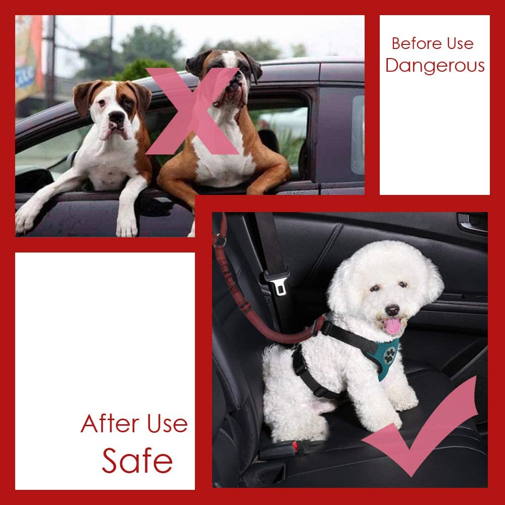 2 Packs Dog Cat Safety Seat Belt Strap Car Headres... – Grandado