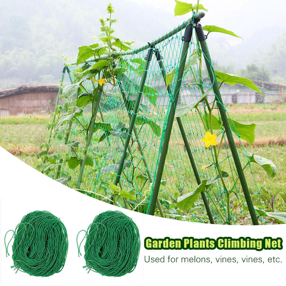 Durable Melon Fruit Morning Glory Vine Net Practic... – Grandado