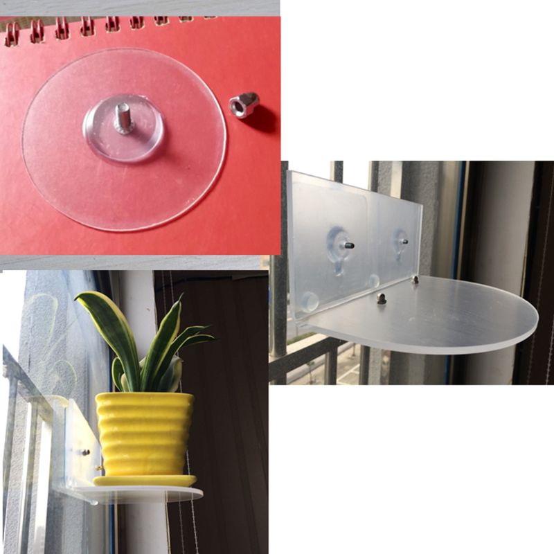 Ledge Suction Cup Window Shelf Acrylic Plant Shelf... – Grandado