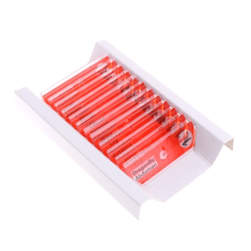 48Pcs Plastic Microscope Slides Biological Specime... – Grandado