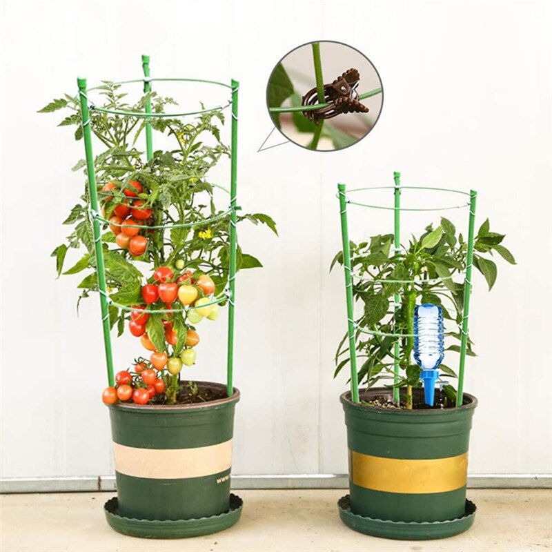 4 Pack Support Tomato Cage For Climbing Plants Tre... – Grandado