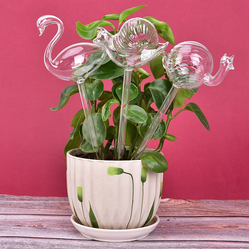 6 Types Automatic Plant Flowers Water Feeder Glass... – Grandado