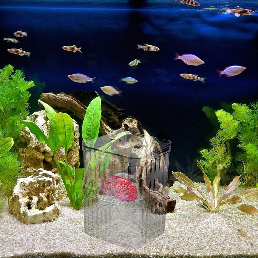 4pcs Fish Breeding Boxes Aquarium Fish Breeder Fis... – Grandado