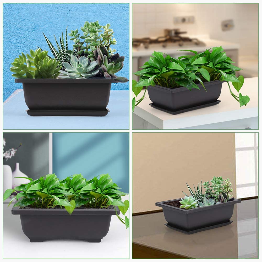 10 pakker bonsai træningspotter med bakke plast bo... – Grandado