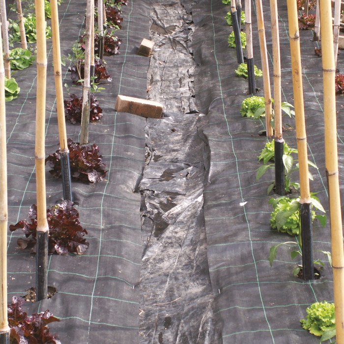 Tela de mini rotolo, marco verde/verde, 100gr. – Grandado