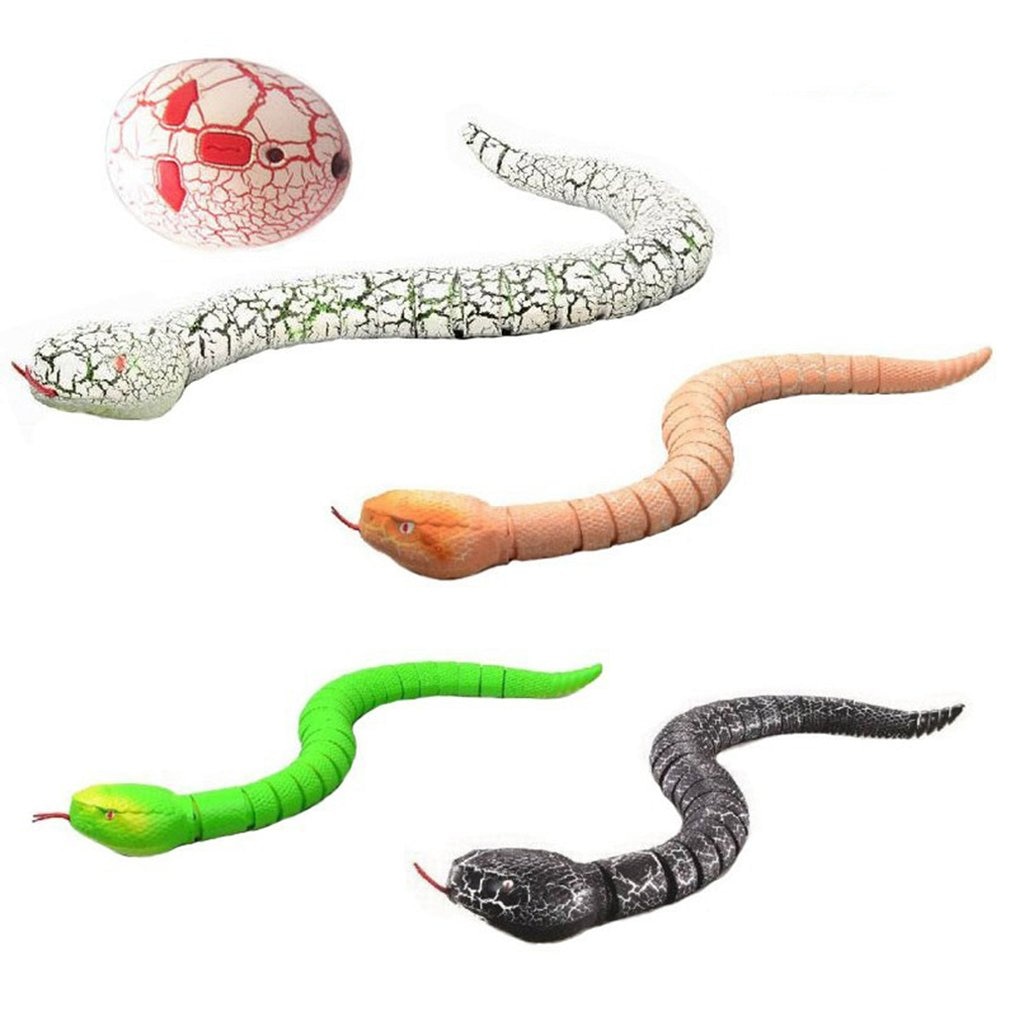RC Animal Toys Kids Remote Control Snake Rattlesna... – Grandado